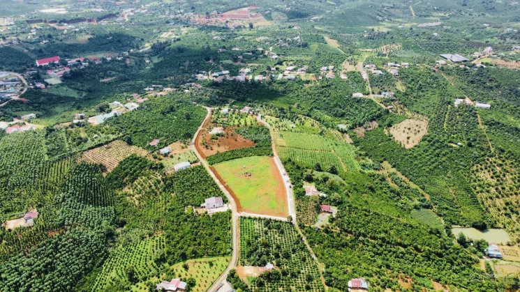 Hình ảnh: thực tế dự án Đồi Mơ Sky View Lâm Đồng 2022 - CafeLand.Vn