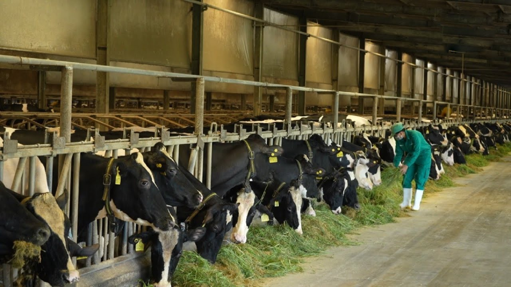 Tây Ninh thẩm định loạt quy hoạch lớn: Du lịch sinh thái hồ Dầu Tiếng ...